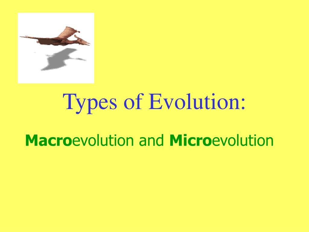 PPT - Types of Evolution: PowerPoint Presentation, free download - ID ...