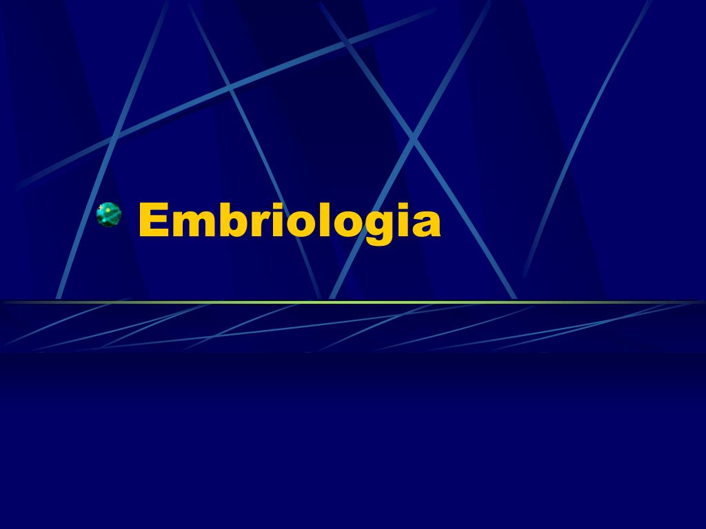 PPT - Embriologia PowerPoint Presentation, free download - ID:5749780