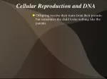 PPT - Cellular Reproduction PowerPoint Presentation, free download - ID:1457909