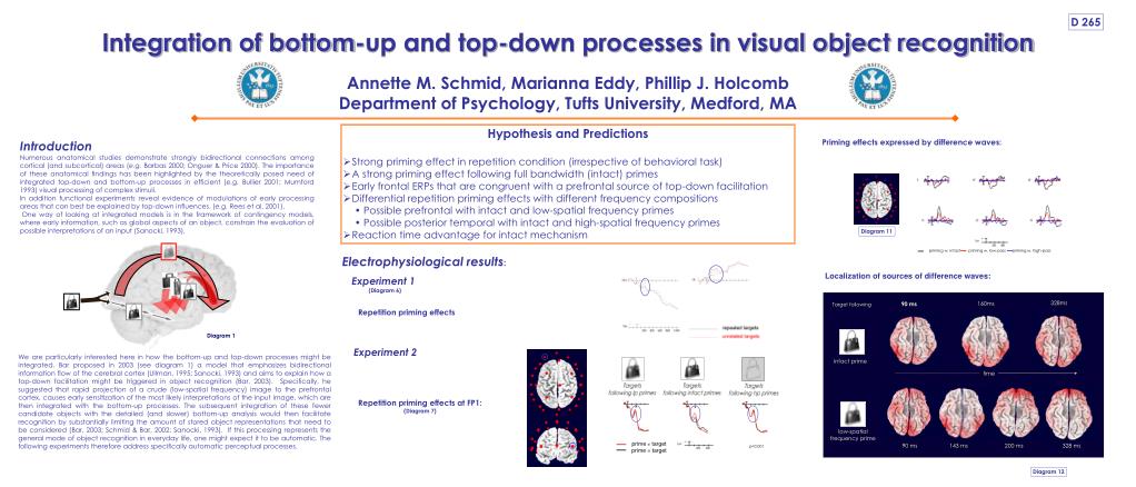 PPT - Integration of bottom-up and top-down processes in visual object ...
