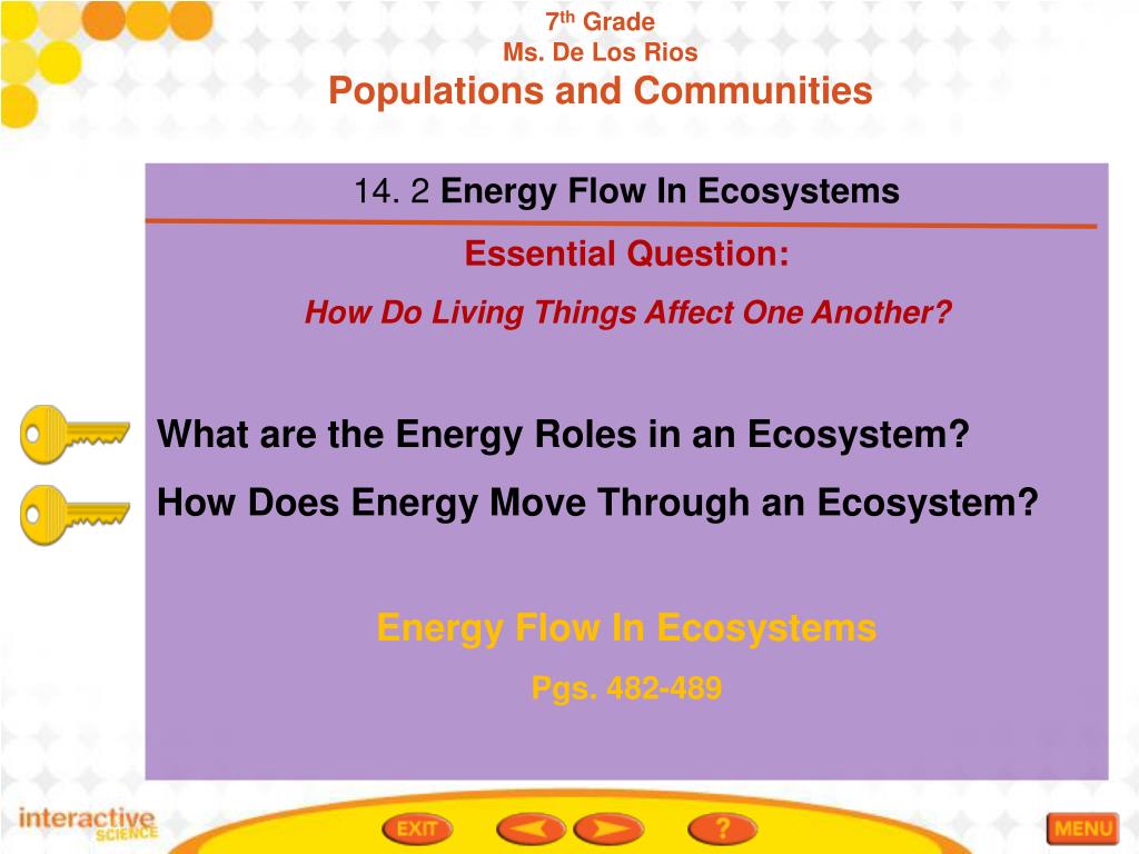 PPT - 14. 2 Energy Flow In Ecosystems Essential Question: How Do Living ...