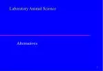 PPT - Laboratory Animal Handling Technique PowerPoint Presentation ...