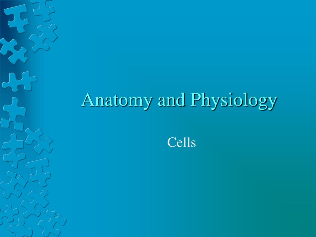 PPT - Anatomy and Physiology PowerPoint Presentation, free download ...