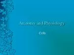 PPT - Anatomy and Medicine PowerPoint Presentation, free download - ID ...