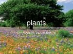 PPT - Plants: Structure & Function PowerPoint Presentation, free ...