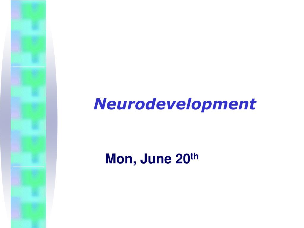 PPT - Neurodevelopment PowerPoint Presentation, free download - ID:5764617
