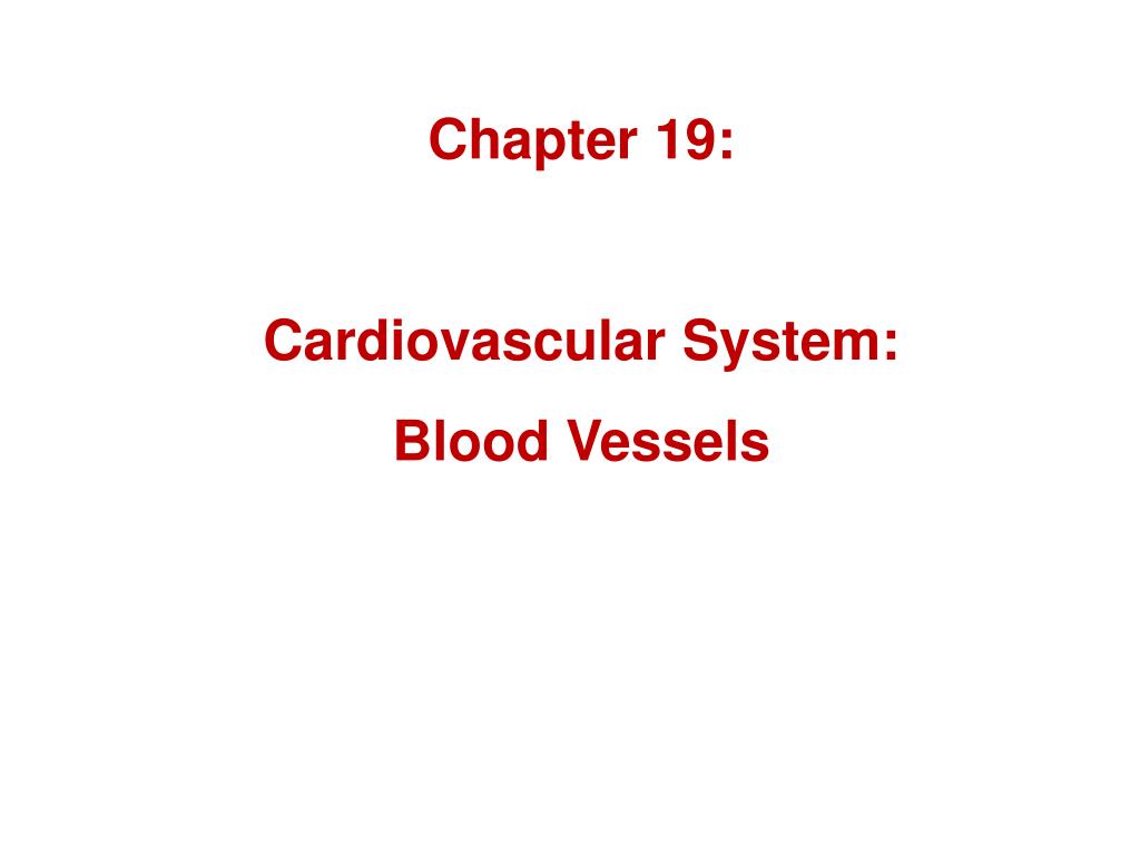 PPT - Chapter 19: Cardiovascular System: Blood Vessels PowerPoint ...