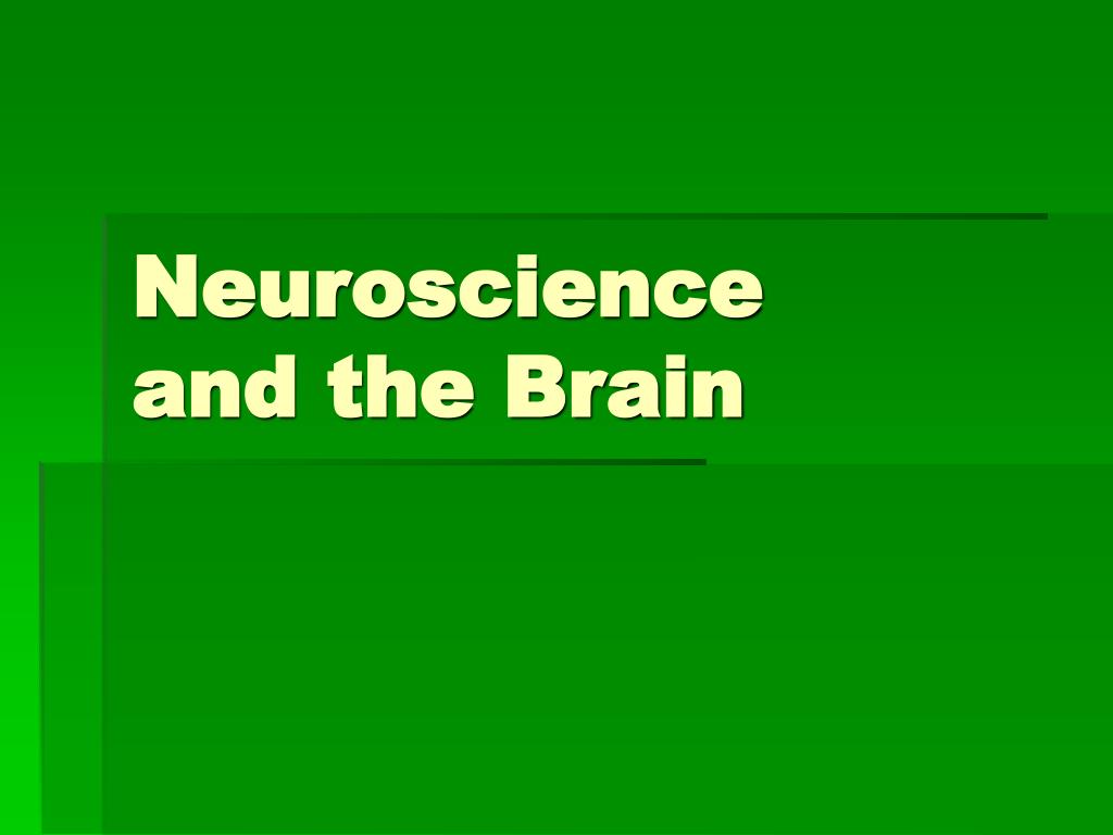 PPT - Neuroscience and the Brain PowerPoint Presentation, free download ...