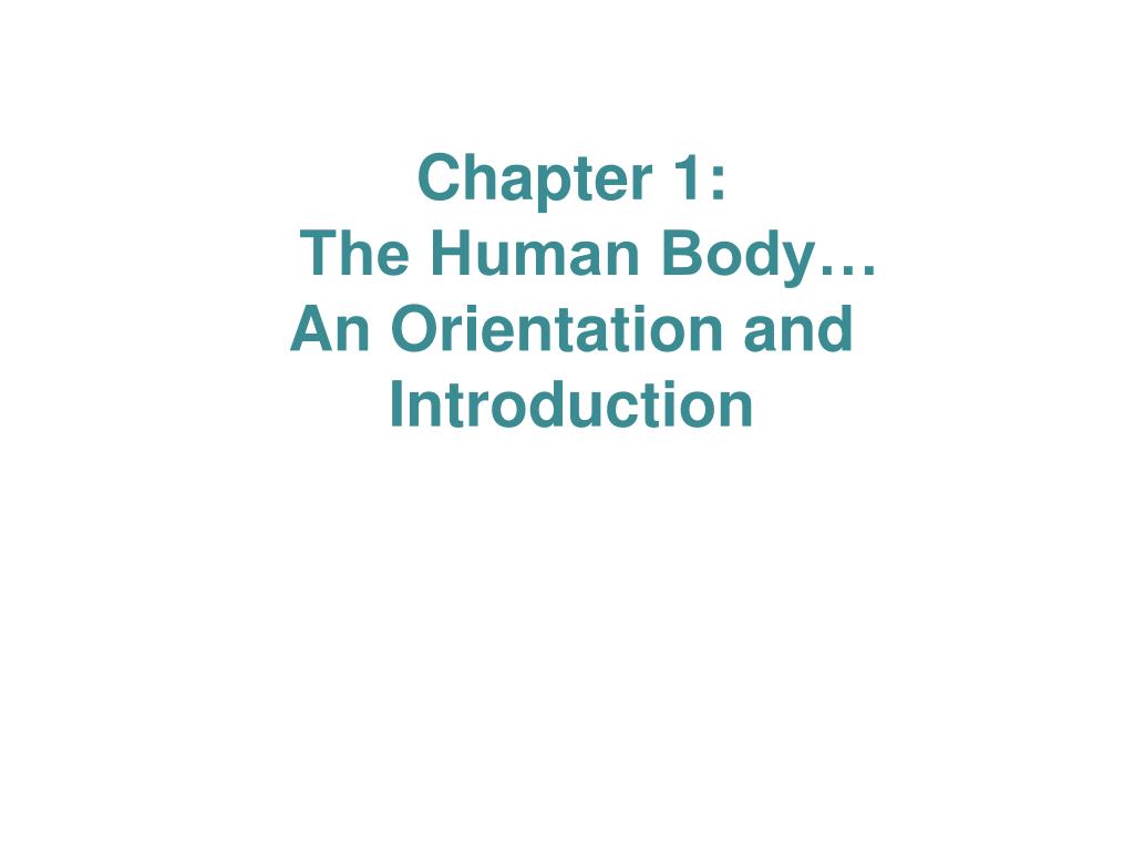 PPT - Chapter 1: The Human Body… An Orientation and Introduction ...