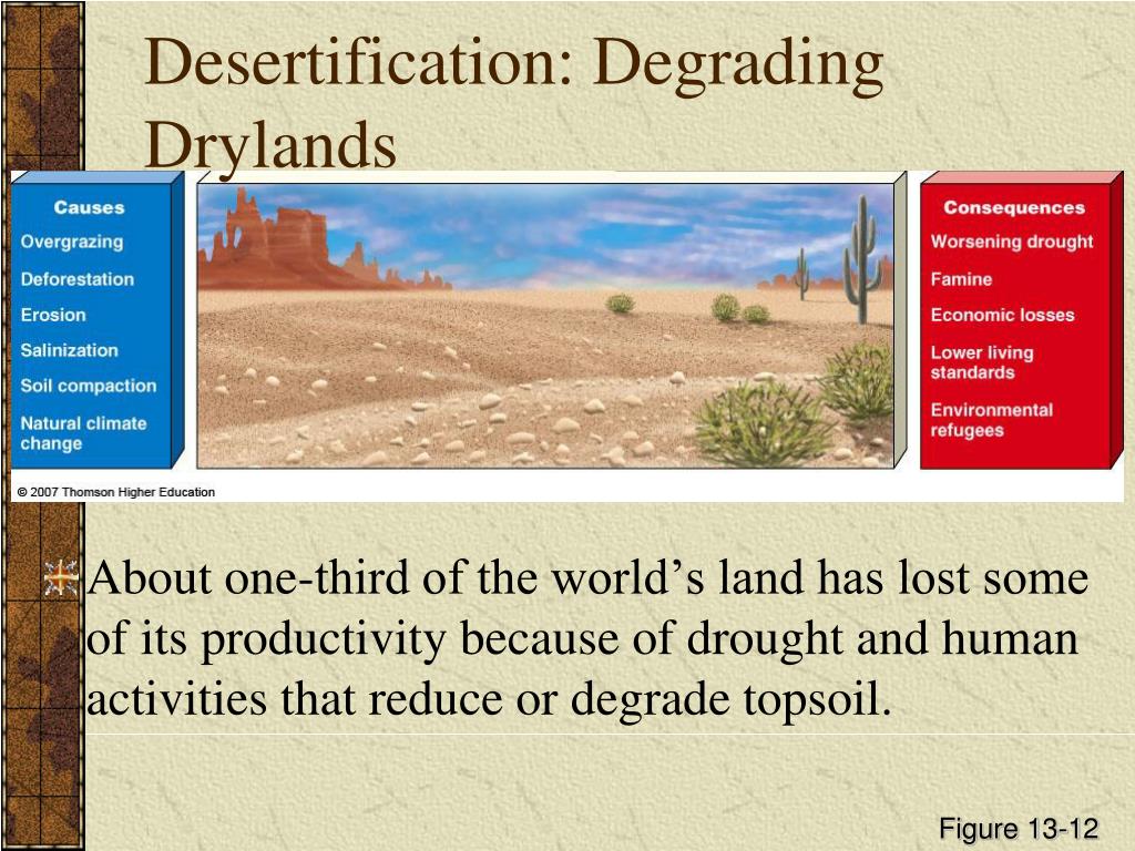 PPT - Desertification: Degrading Drylands PowerPoint Presentation, free ...