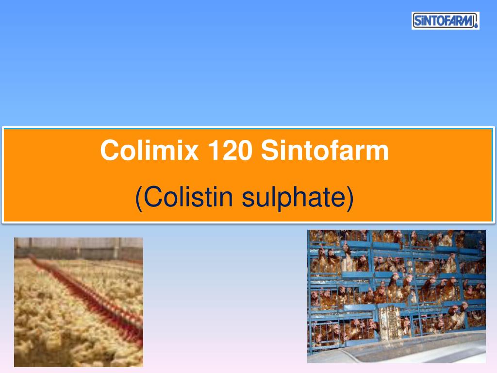PPT - Colimix 120 Sintofarm ( Colistin sulphate ) PowerPoint ...
