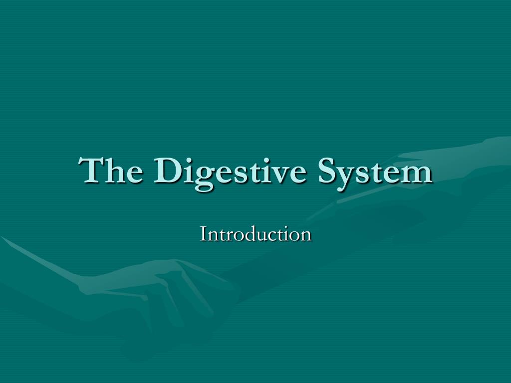 PPT - The Digestive System PowerPoint Presentation, free download - ID ...