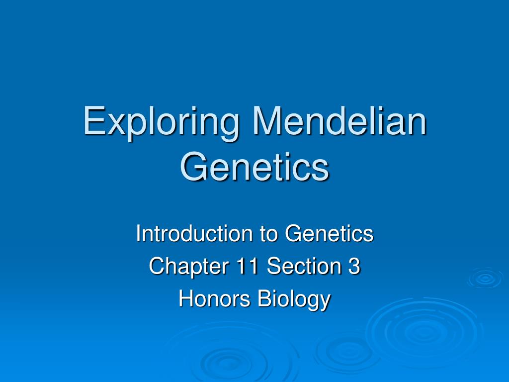 PPT - Exploring Mendelian Genetics PowerPoint Presentation, free ...