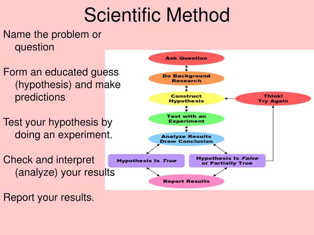 PPT - Scientific Method PowerPoint Presentation, free download - ID:5779380