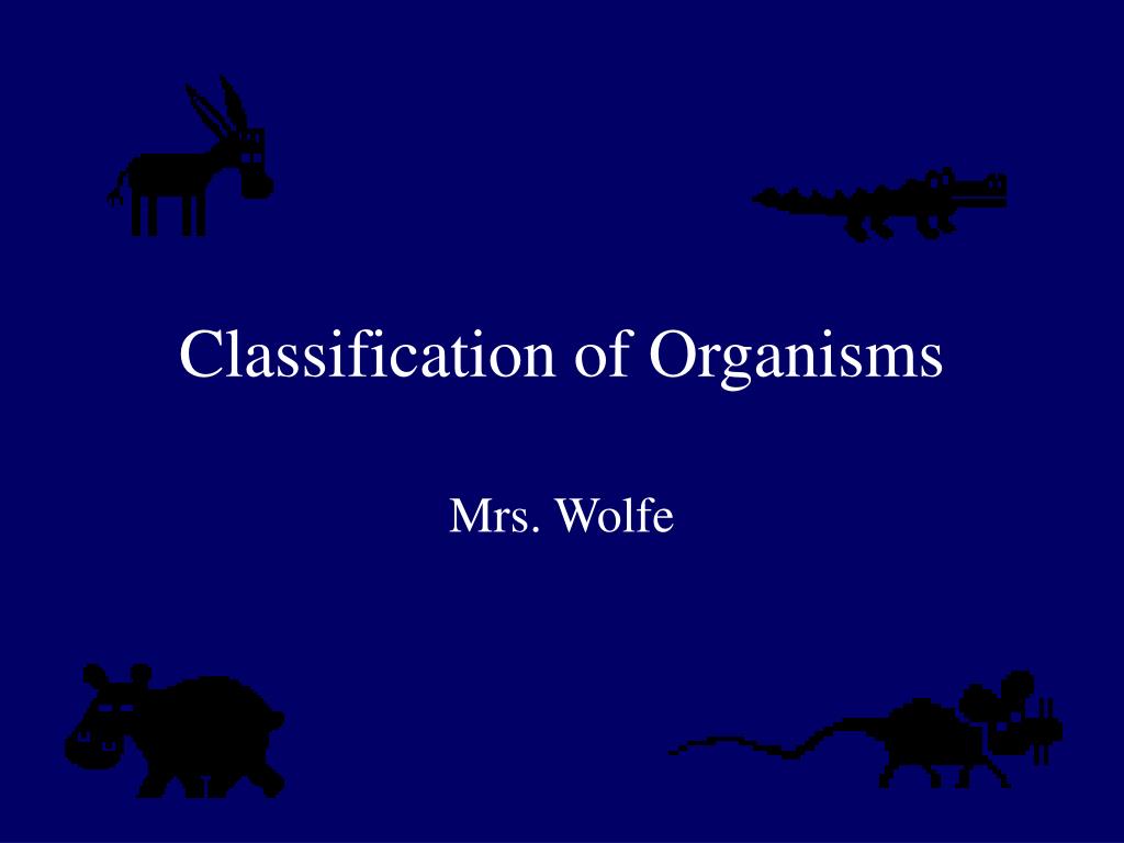 PPT - Classification of Organisms PowerPoint Presentation, free ...