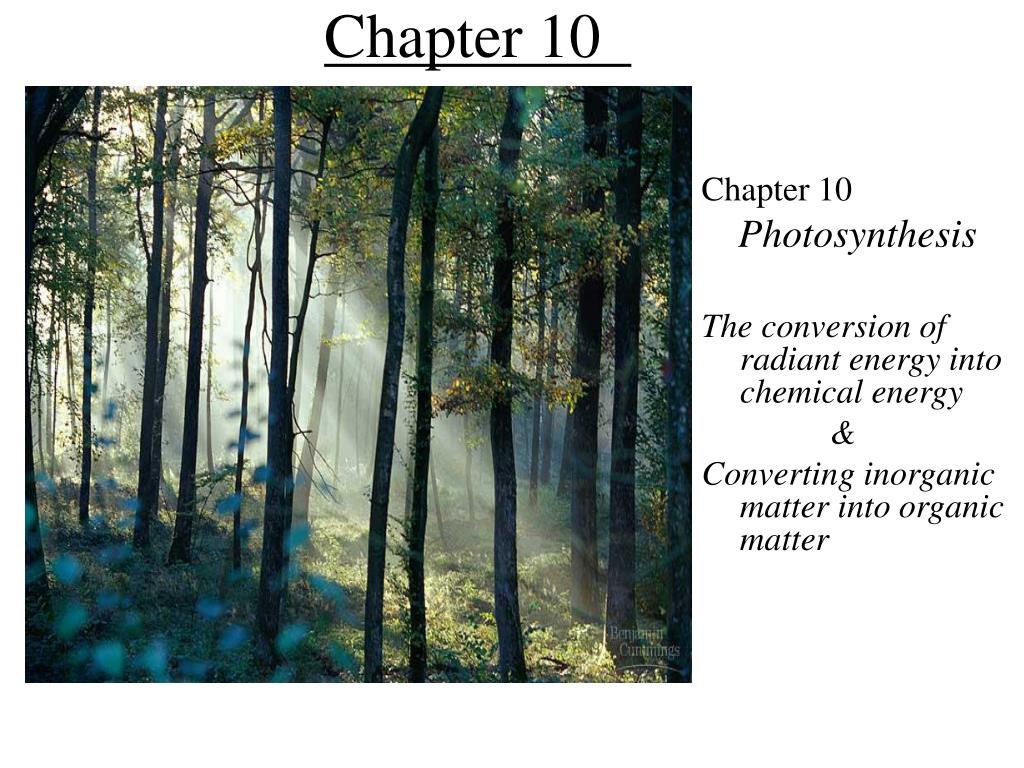 PPT - Chapter 10 PowerPoint Presentation, free download - ID:5780381