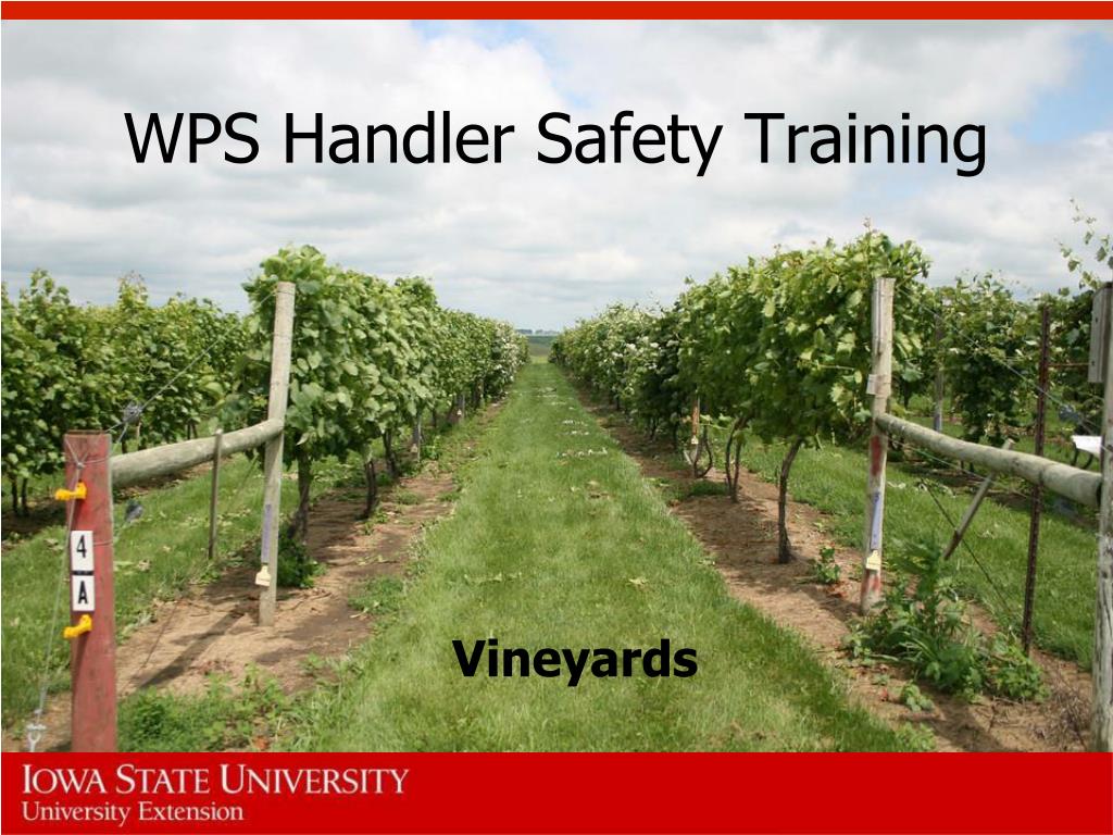PPT - WPS Handler Safety Training PowerPoint Presentation, free ...