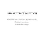 PPT - Urinary Tract Infection PowerPoint Presentation, free download ...