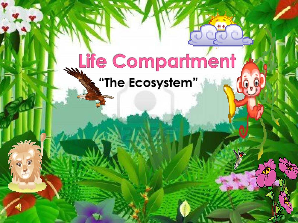 PPT - Life Compartment PowerPoint Presentation, free download - ID:5784166