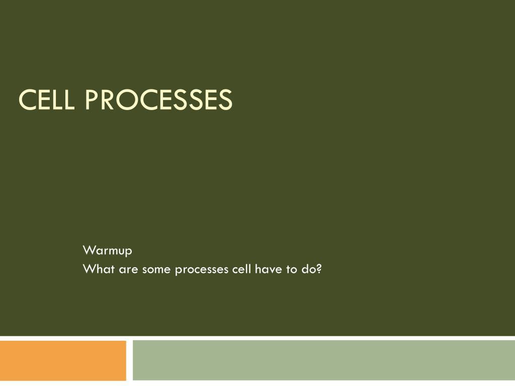 PPT - Cell Processes PowerPoint Presentation, free download - ID:5785336