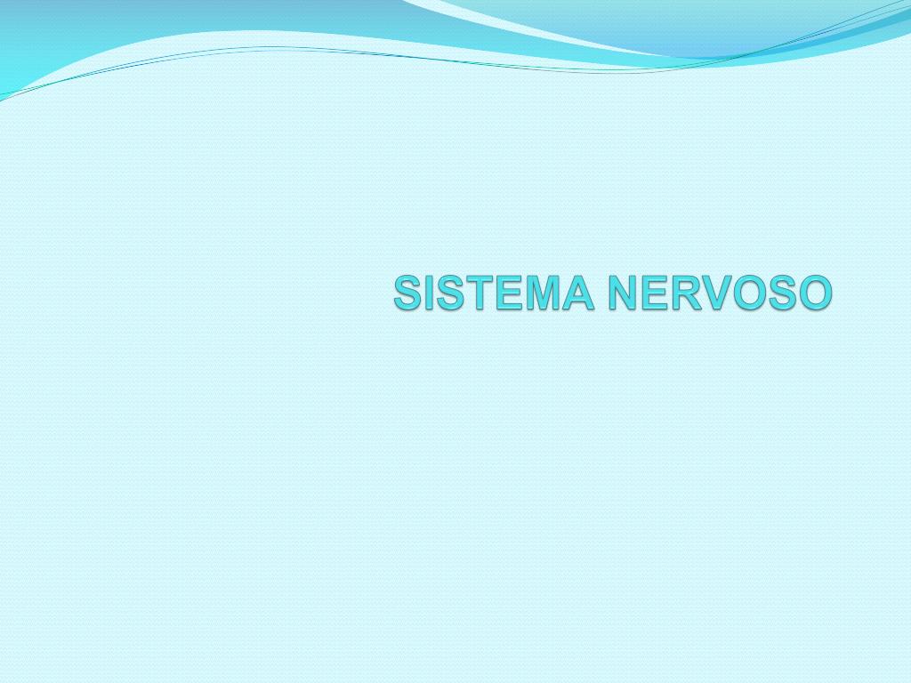 PPT - SISTEMA NERVOSO PowerPoint Presentation, free download - ID:5785472