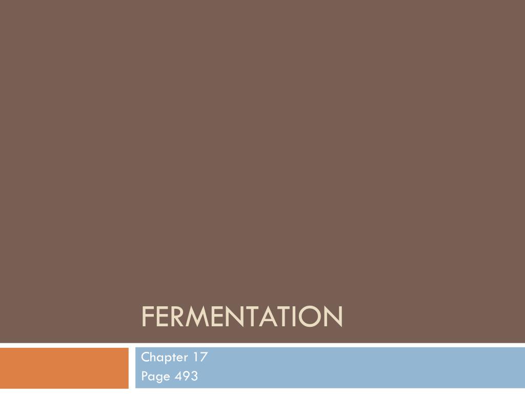 PPT - Fermentation PowerPoint Presentation, free download - ID:5786009