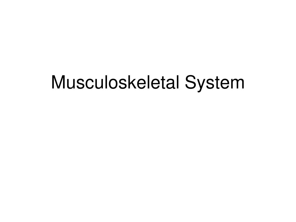 PPT - Musculoskeletal System PowerPoint Presentation, free download ...