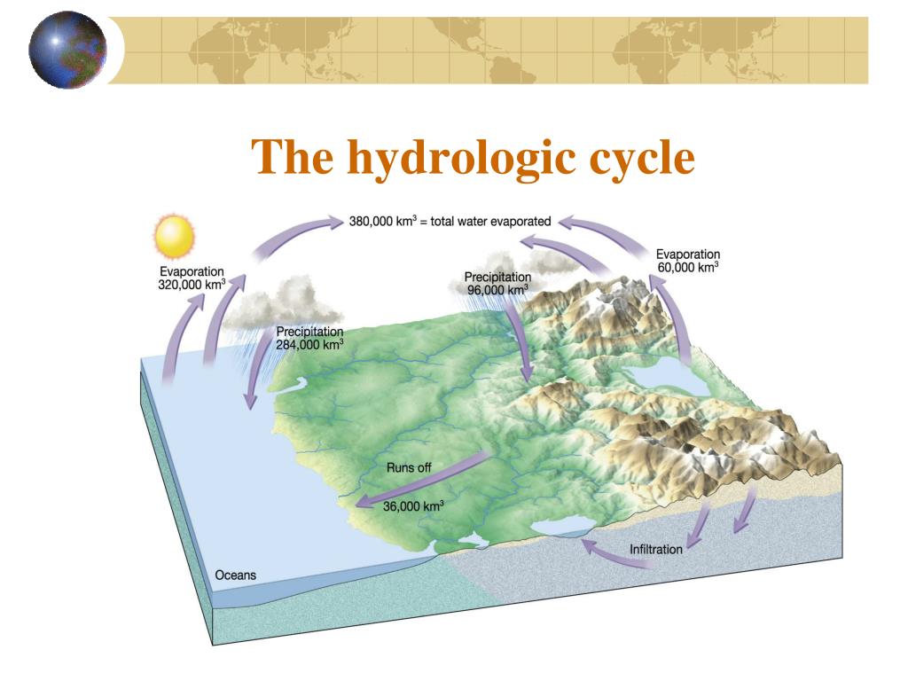 PPT - The hydrologic cycle PowerPoint Presentation, free download - ID ...