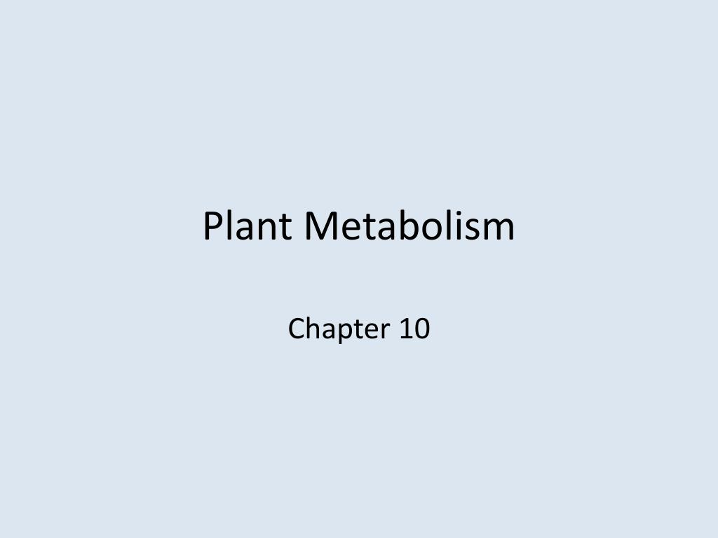 PPT - Plant Metabolism PowerPoint Presentation, free download - ID:5798558