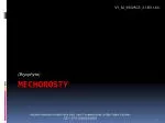 PPT - MECHOROSTY PowerPoint Presentation, free download - ID:3393216