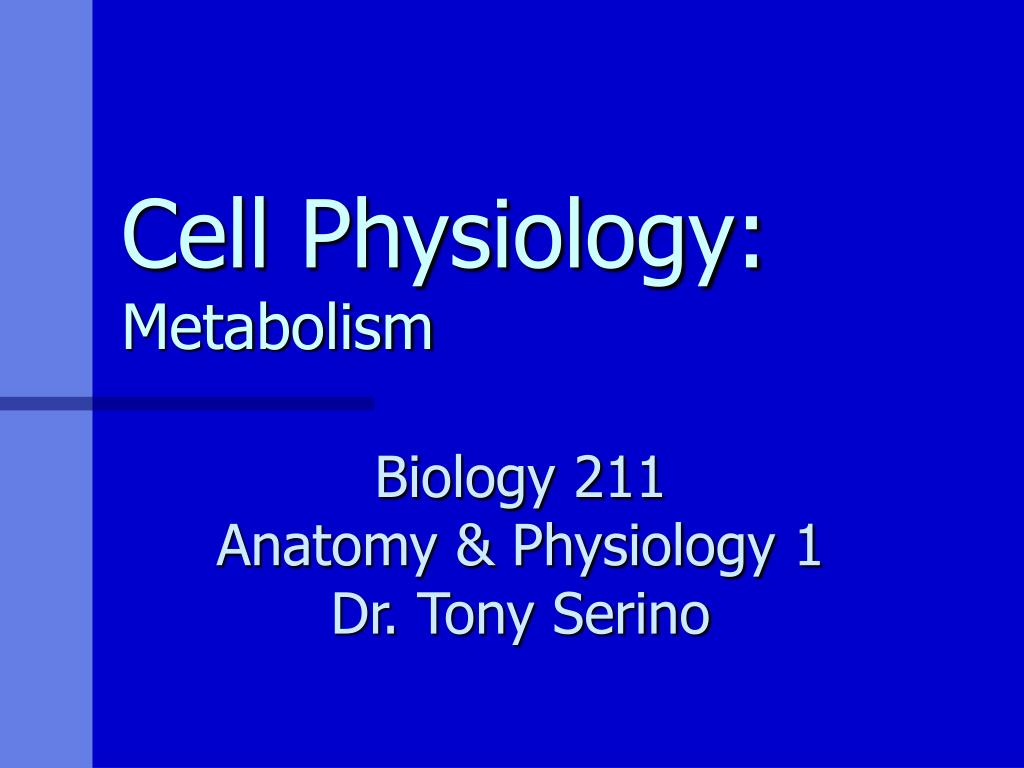 PPT - Cell Physiology: Metabolism PowerPoint Presentation, free ...