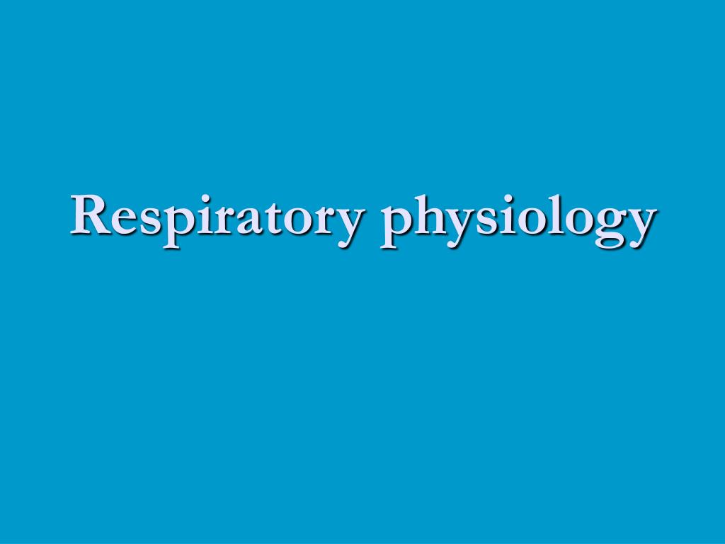 PPT - Respiratory physiology PowerPoint Presentation, free download ...