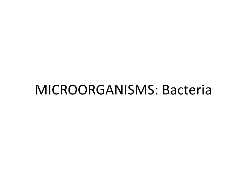 PPT - MICROORGANISMS: Bacteria PowerPoint Presentation, free download ...
