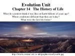 PPT - Unit 10 Evolution PowerPoint Presentation, free download - ID:5434281