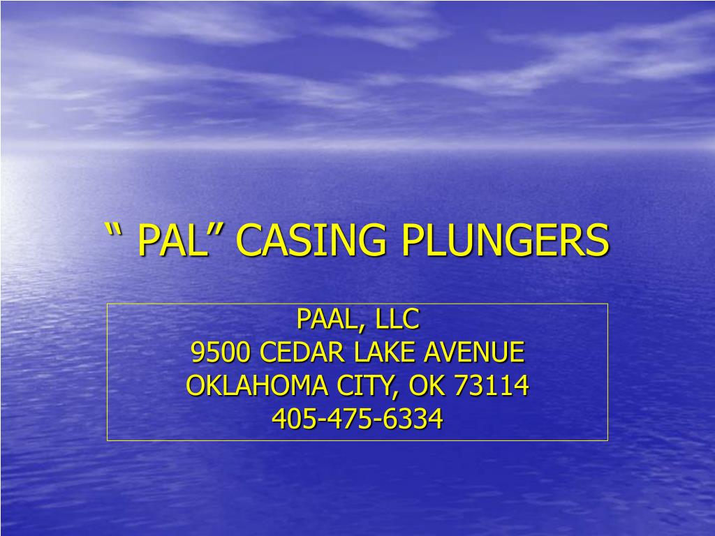 PPT - “ PAL” CASING PLUNGERS PowerPoint Presentation, free download ...