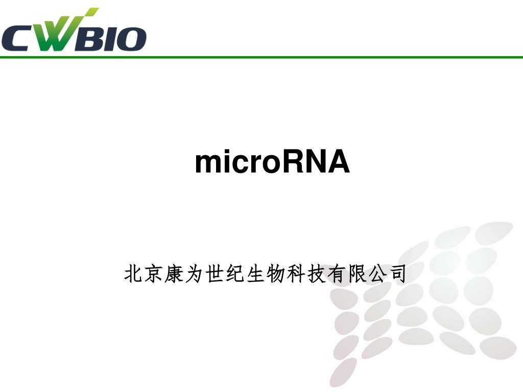PPT - microRNA PowerPoint Presentation, free download - ID:5820788
