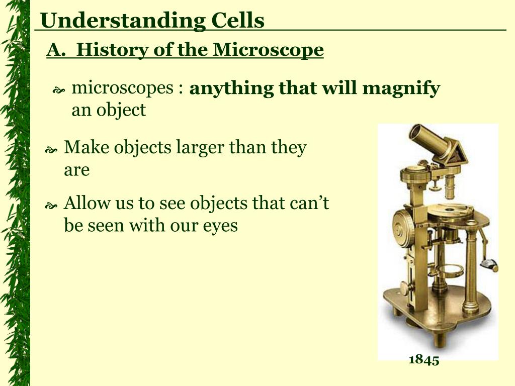 PPT - Understanding Cells PowerPoint Presentation, free download - ID ...