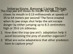 PPT - 1.3 Interactions Among Living Things PowerPoint Presentation ...