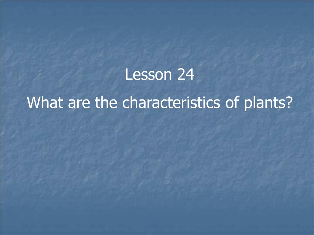 PPT - Lesson 24 What are the characteristics of plants? PowerPoint ...