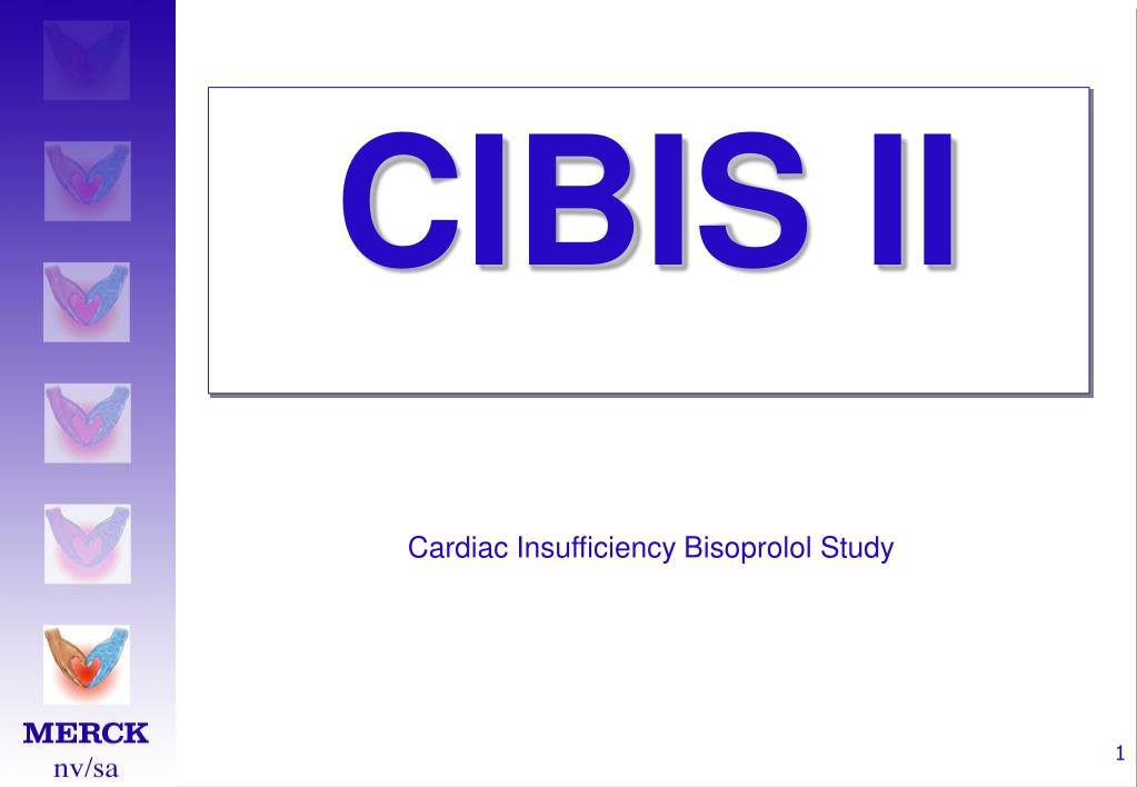 PPT - CIBIS II PowerPoint Presentation, free download - ID:5827255