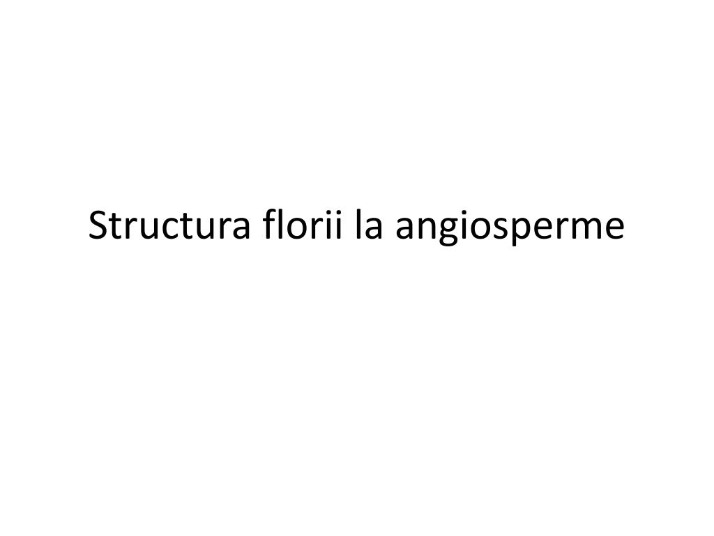 PPT - Structura florii la angiosperme PowerPoint Presentation, free ...