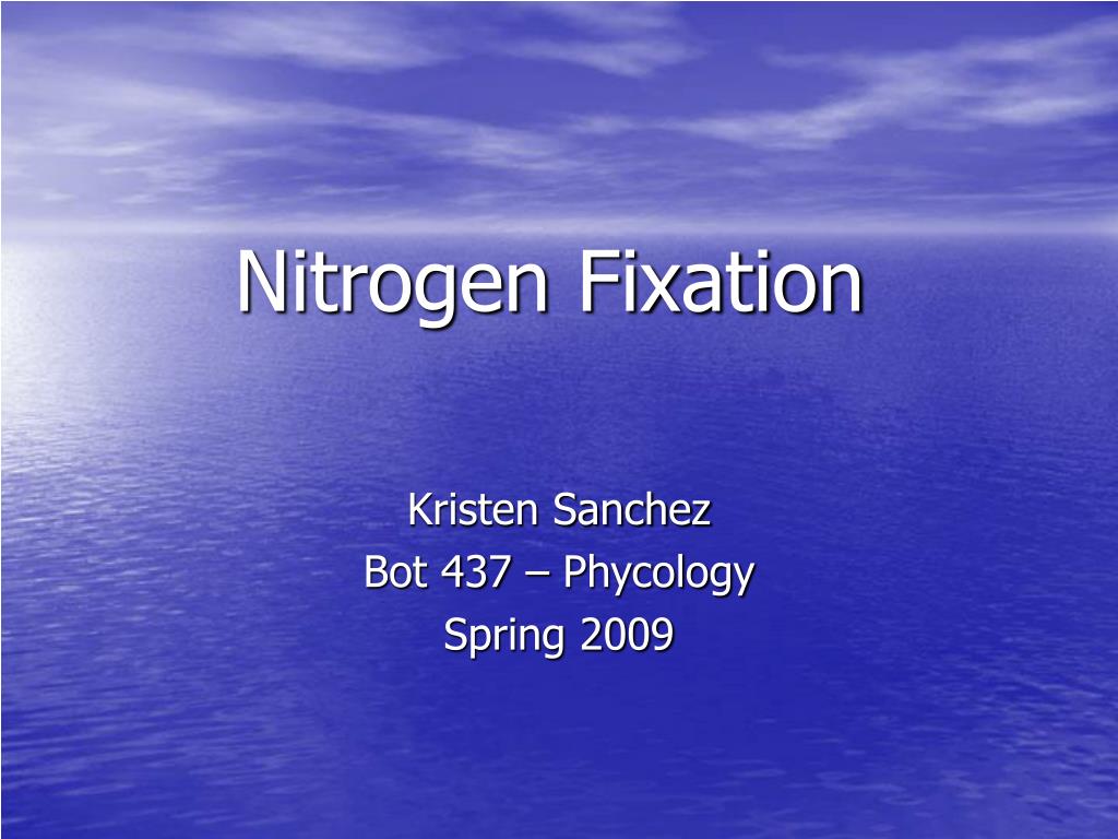 PPT - Nitrogen Fixation PowerPoint Presentation, free download - ID:5829814
