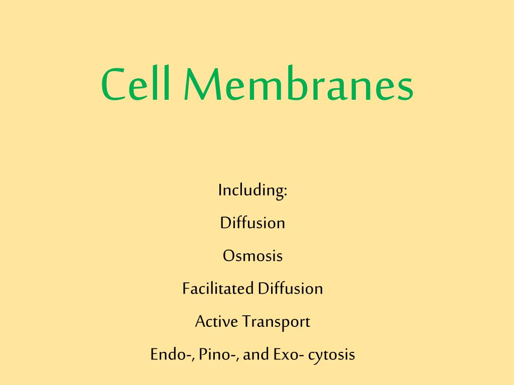 PPT - Cell Membranes PowerPoint Presentation, free download - ID:5830326