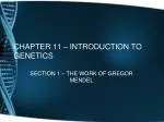 PPT - Chapter 11 Introduction to Genetics PowerPoint Presentation, free ...
