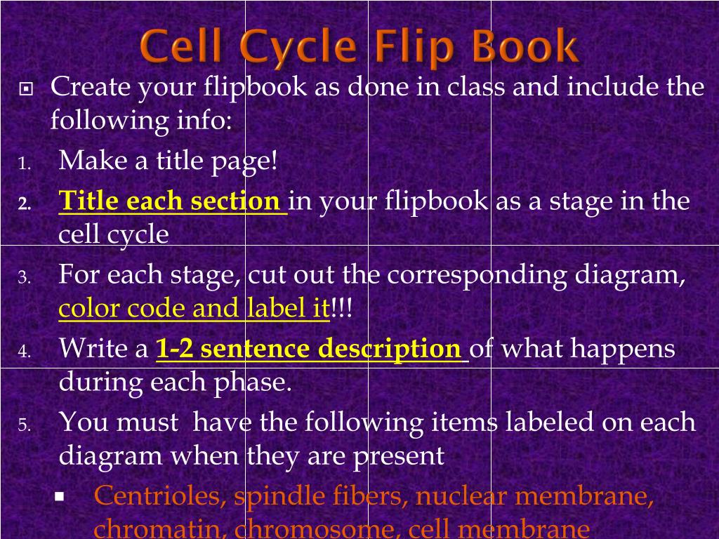 PPT - Cell Cycle Flip Book PowerPoint Presentation, free download - ID ...