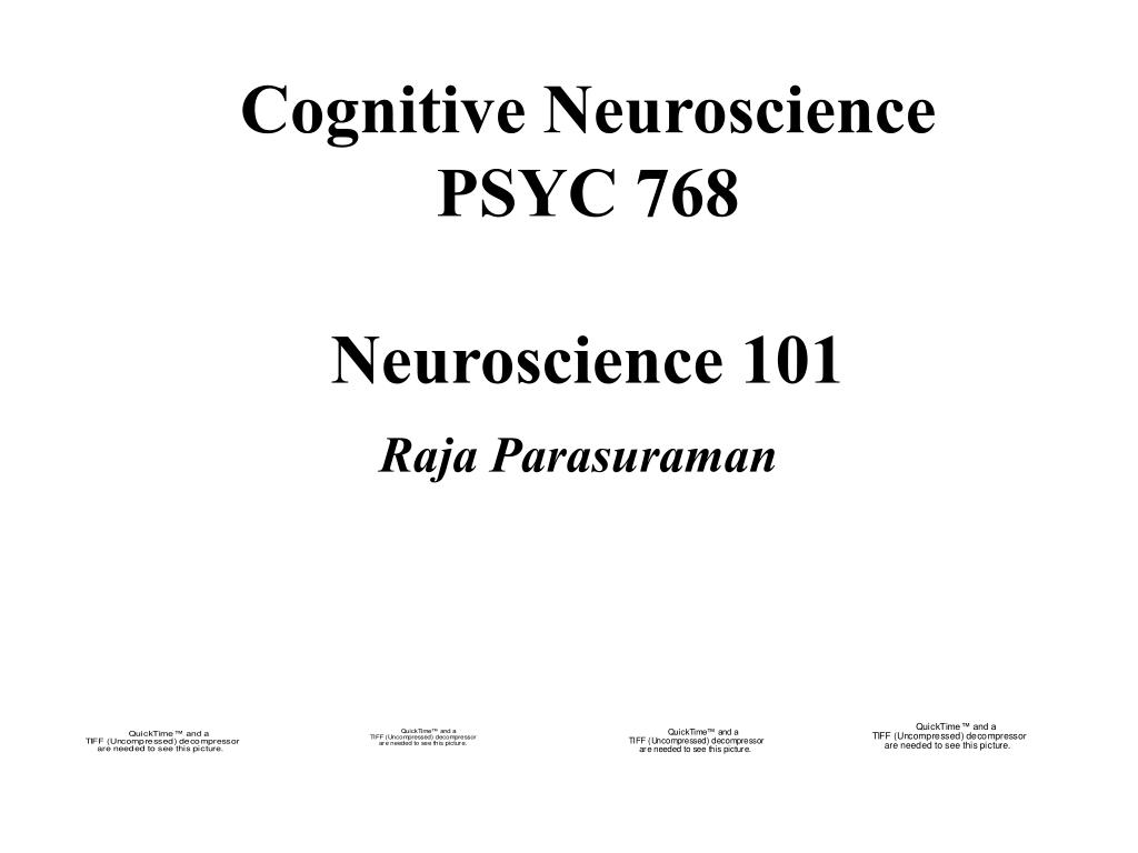 PPT - Cognitive Neuroscience PSYC 768 Neuroscience 101 PowerPoint ...