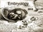 PPT - Basic Embryology PowerPoint Presentation, free download - ID:299797