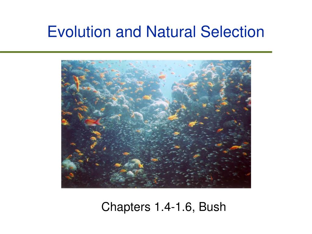 PPT - Evolution and Natural Selection PowerPoint Presentation, free ...