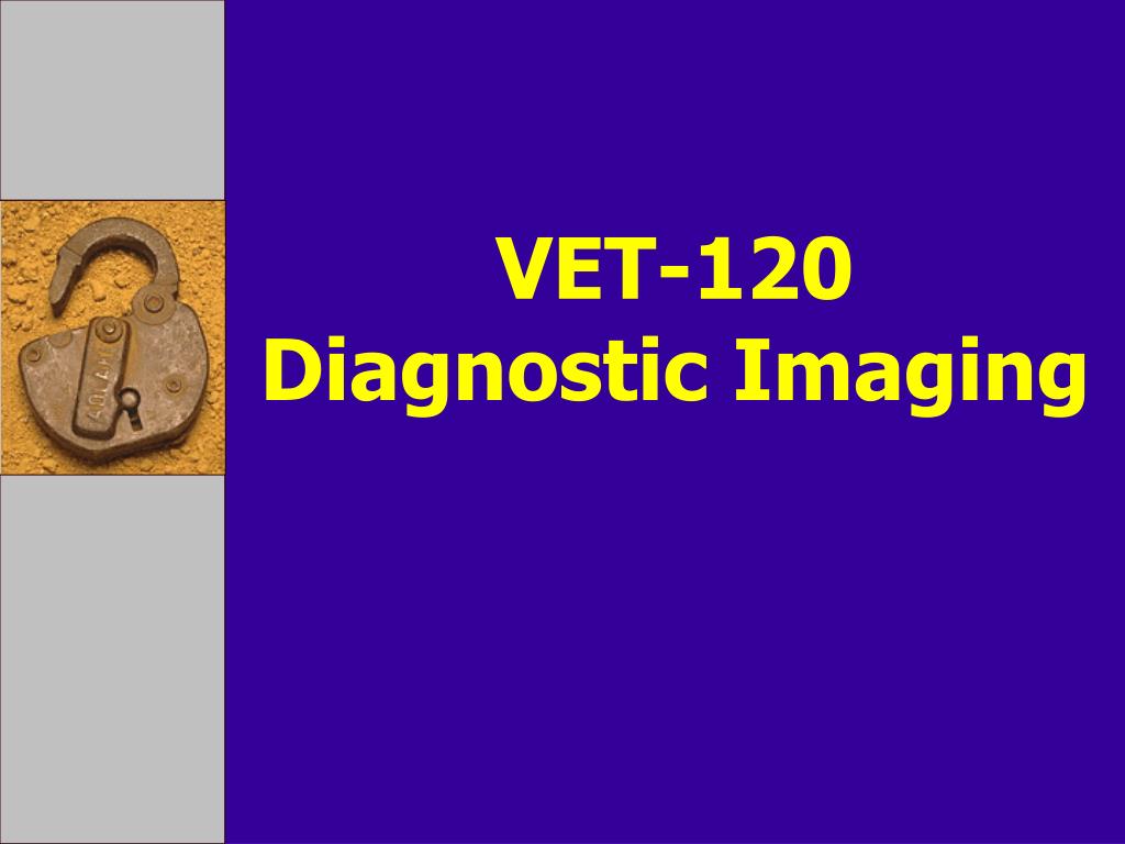 PPT - VET-120 Diagnostic Imaging PowerPoint Presentation, free download ...