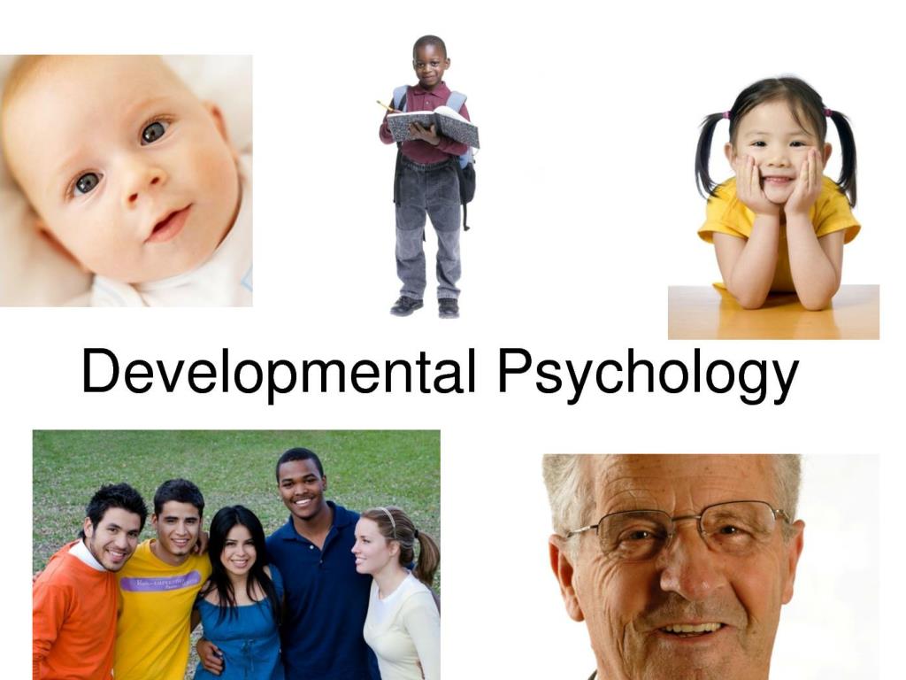 PPT - Developmental Psychology Introduction PowerPoint Presentation ...